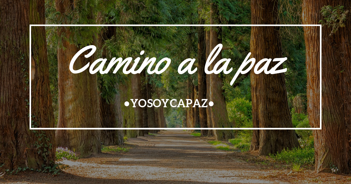 Camino a la Paz (Yo Soy Capaz) - Sentirse Bien Vivir Mejor